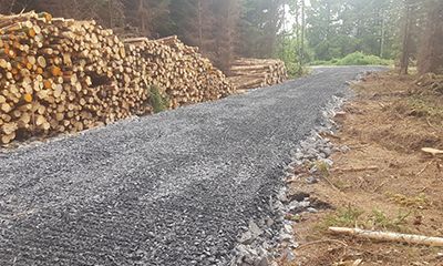 Forest Roads – Grants, Design, and Construction - Ecoplan