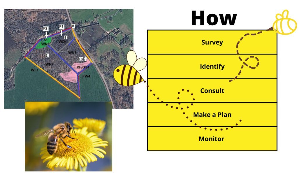 The Birr Castle Bee Management Project - for Land & Forests