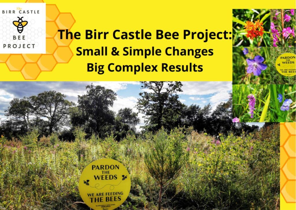 The Birr Castle Bee Management Project - for Land & Forests